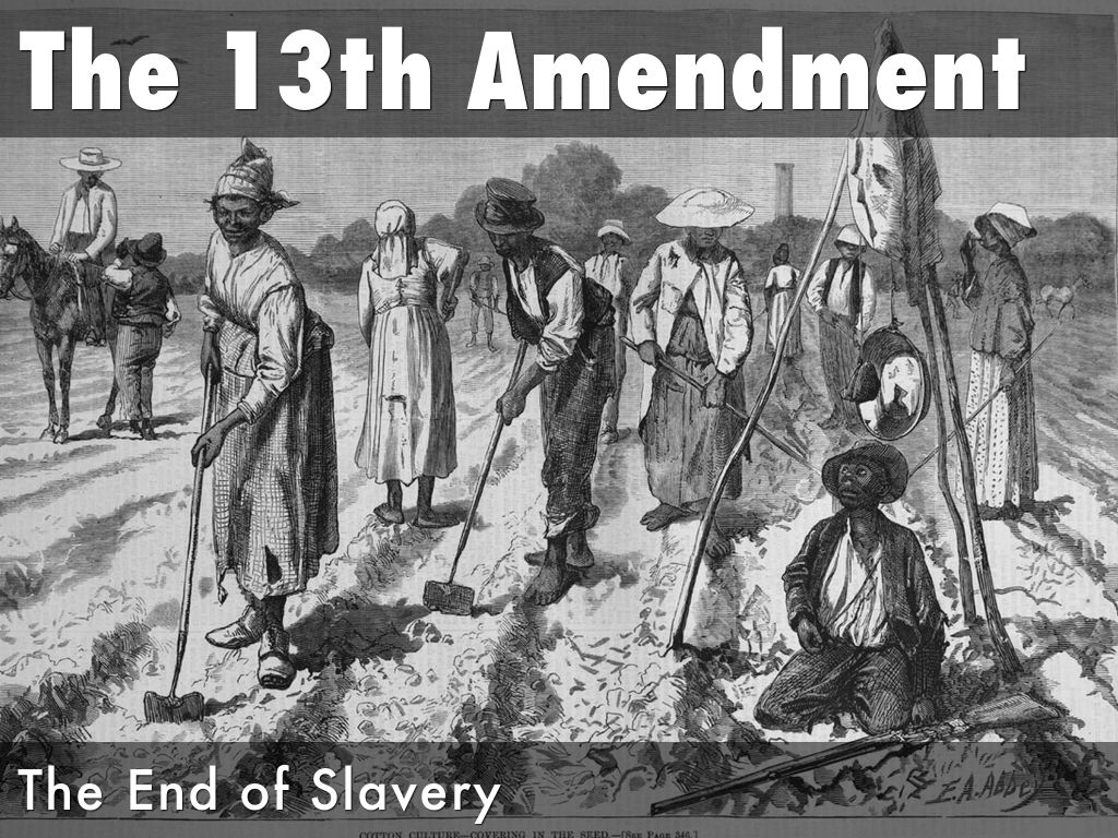 The 13th Amendment By Isaaca 15 The 13th Amendment By Isaaca 15